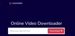 SS YouTube: Best Online YouTube Video Downloader - Bill Fury